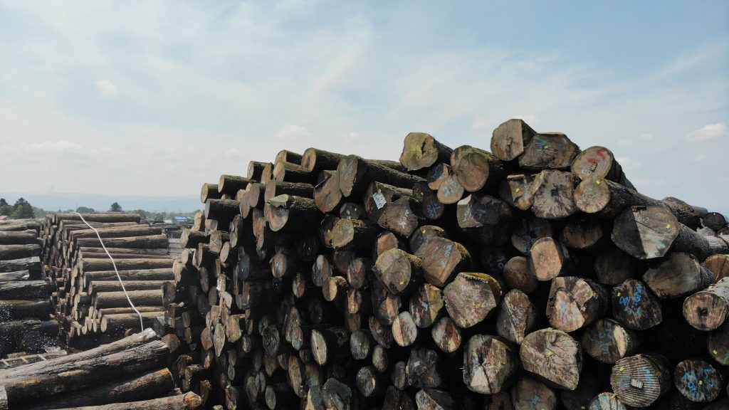 「100年後のアンティーク家具へ」- MasterWal（マスターウォール） – | LAPIAS万代家具 | 愛知県一宮市と桑名市、岐阜の家具屋 名古屋近郊